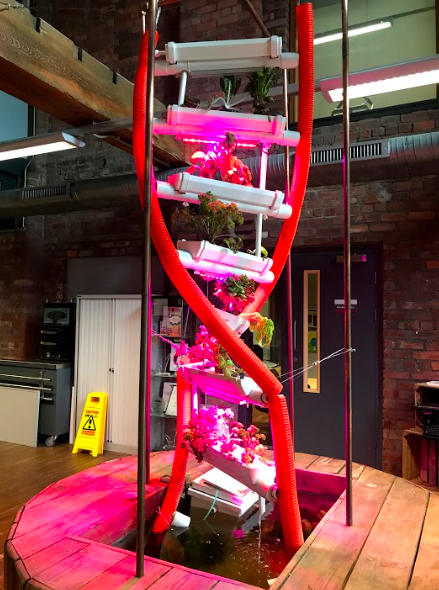 My First Week at The Studio School - InnovateHer